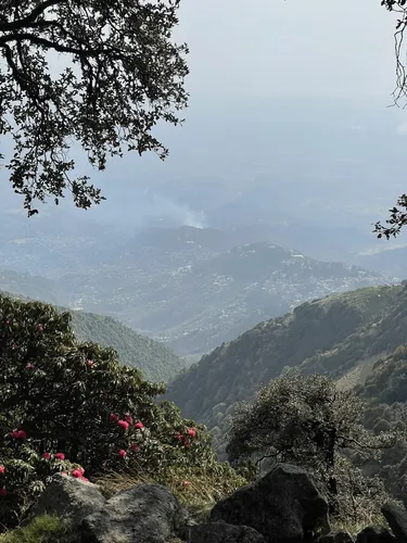 2023 Best 10 Forest Trails in Dhauladhar Wildlife Sanctuary | AllTrails