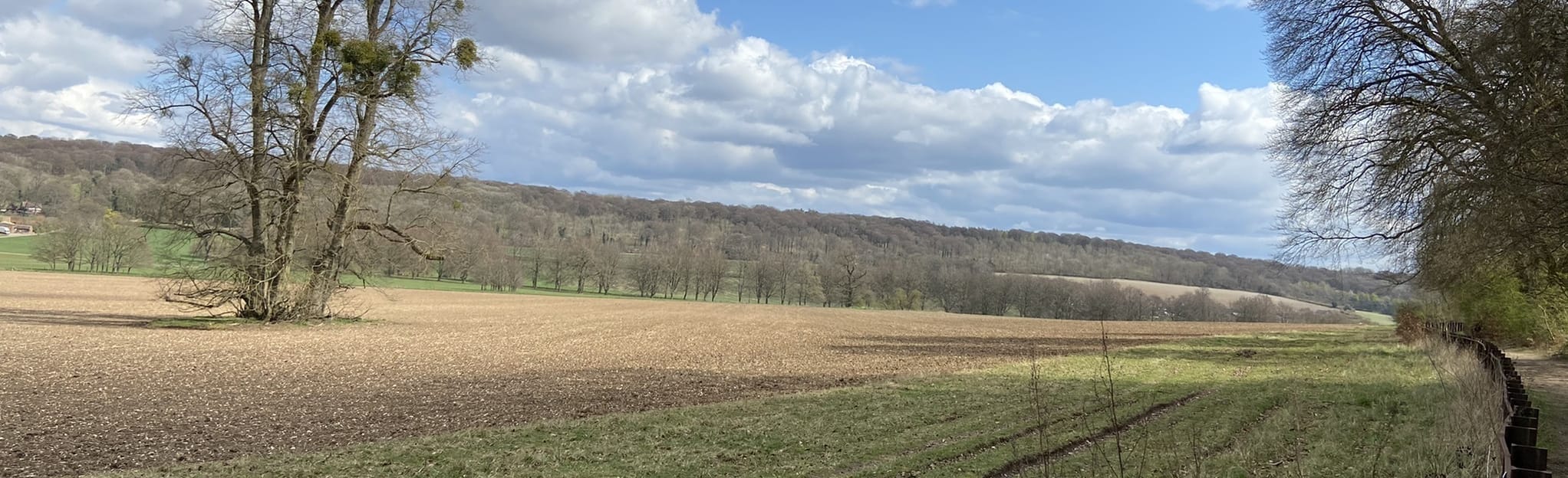 Ridgeway National Trail: Wendover to Princes Risborough: 28 Reviews ...