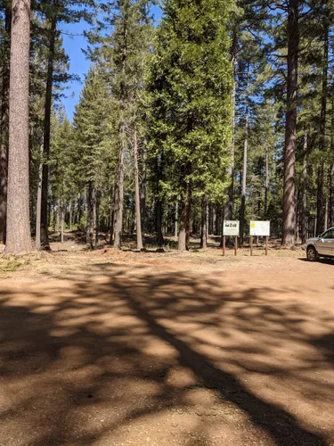 10 Best Easy Trails in Nevada City | AllTrails