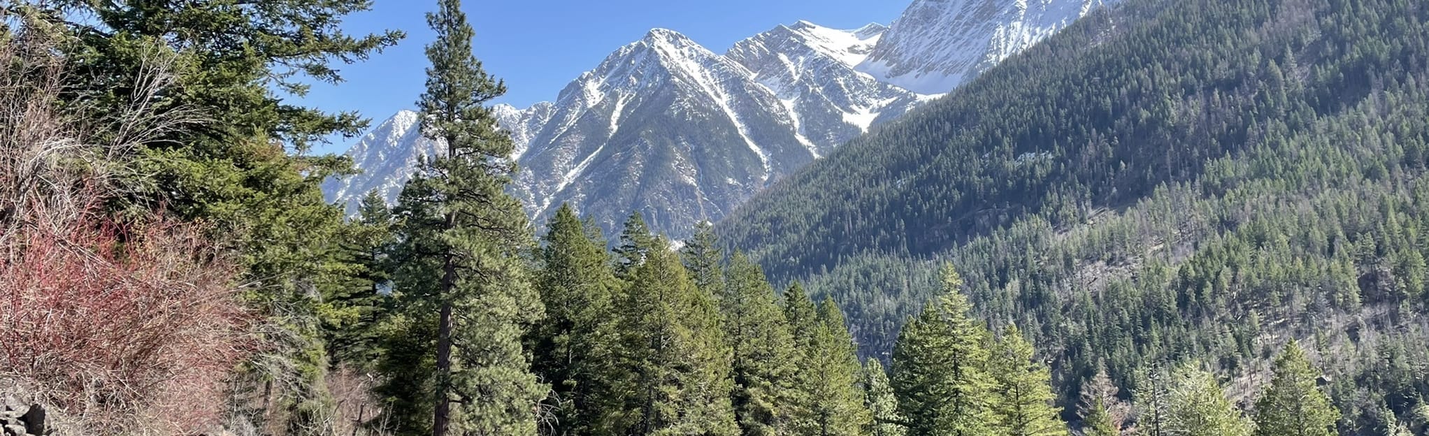 Moon Lake via McDonald Lake Trail: 30 Reviews, Map - Montana | AllTrails