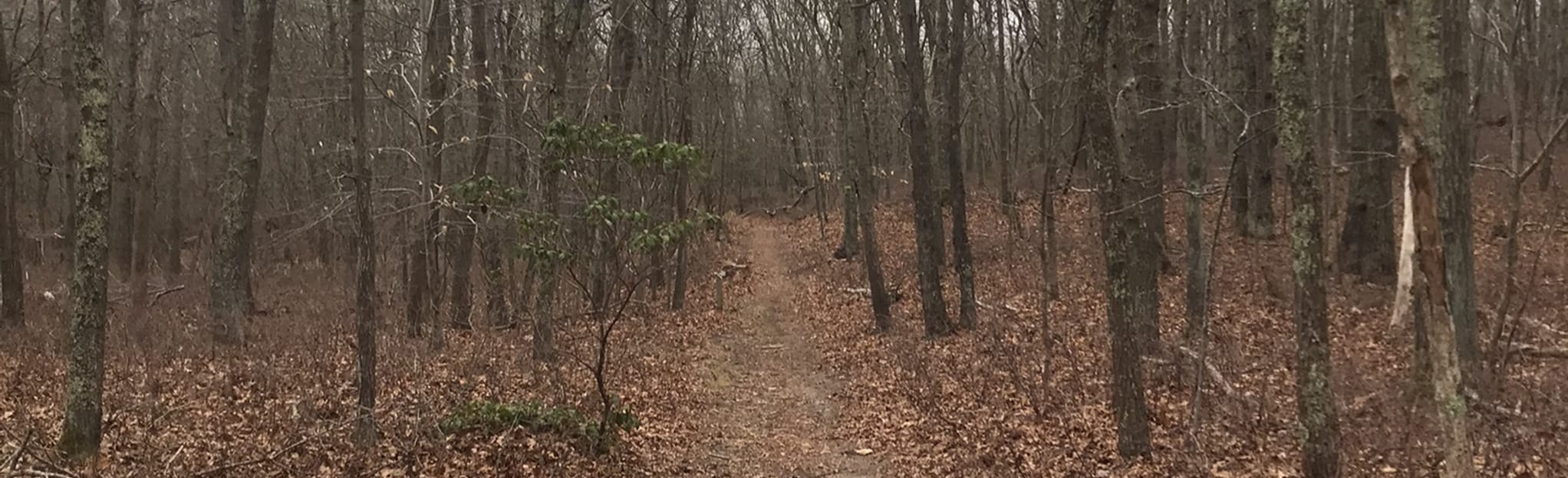 Long Pond Greenbelt Trail: 109 Reviews, Map - New York | AllTrails