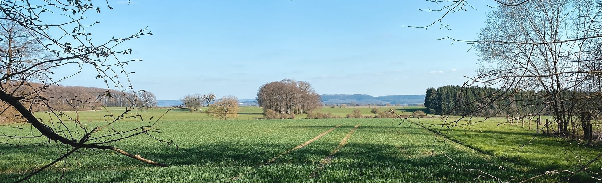 Reimberg Circular Walk: 46 Reviews, Map - Diekirch, Luxembourg | AllTrails