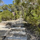 Old Baldy Trail, Texas - 160 Reviews, Map | AllTrails