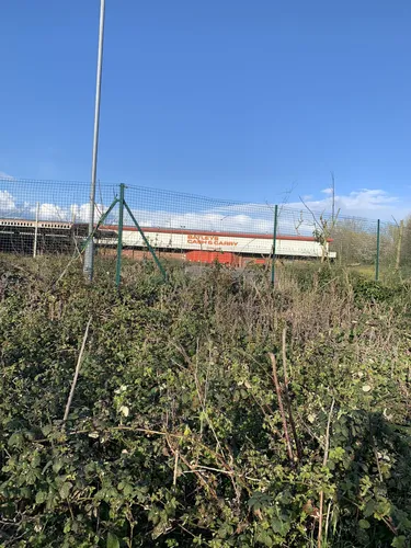 Best Hikes and Trails in Bulwell Hall Park | AllTrails