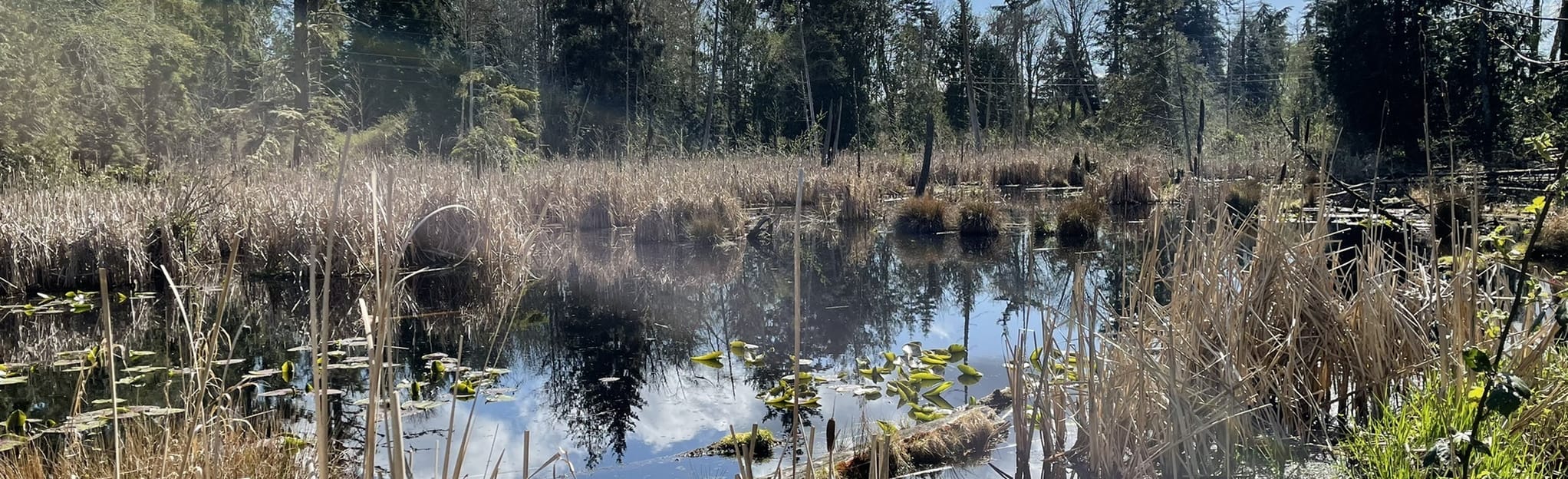 Beaver Trail Loop, Washington - 673 Reviews, Map | AllTrails