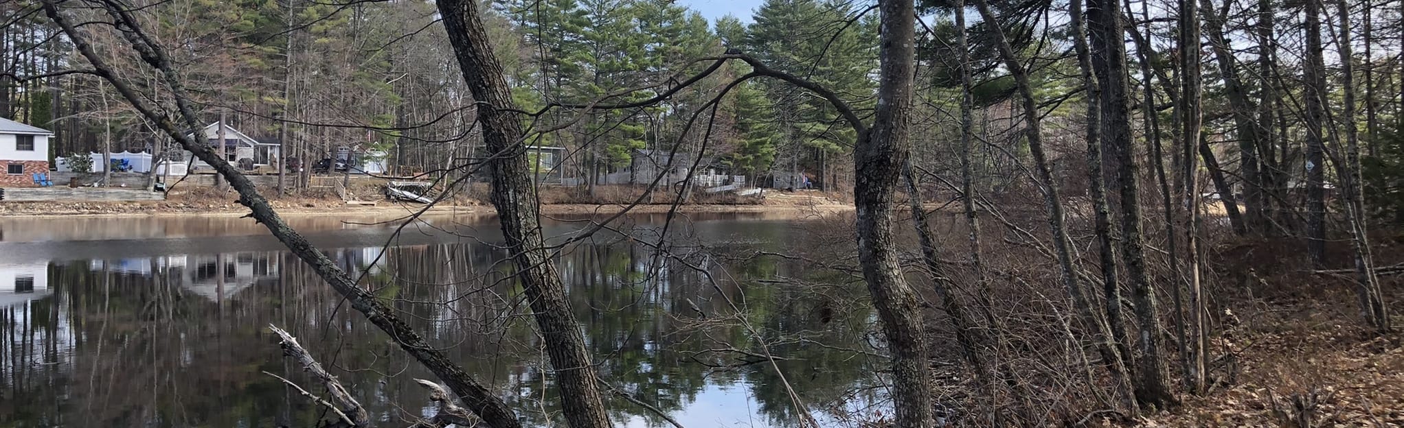 Grover-Herrick Loop, Maine - 22 Reviews, Map | AllTrails