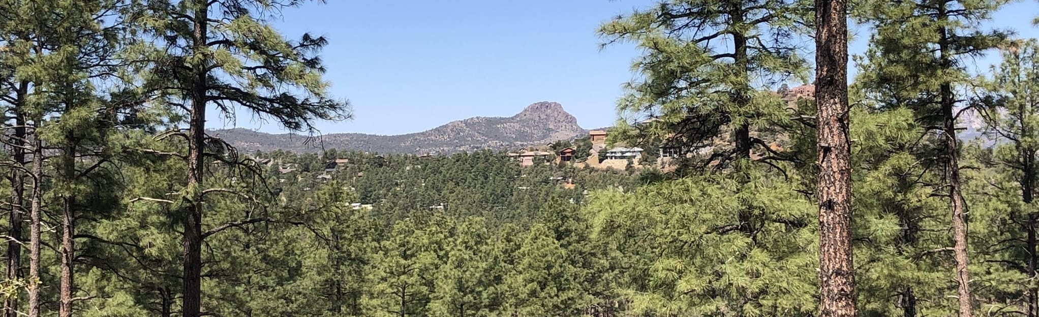 White Spar Short Loop: 402 Reviews, Map - Arizona | AllTrails