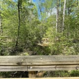 Parsons Mountain OHV Trail, South Carolina - 25 Reviews, Map | AllTrails