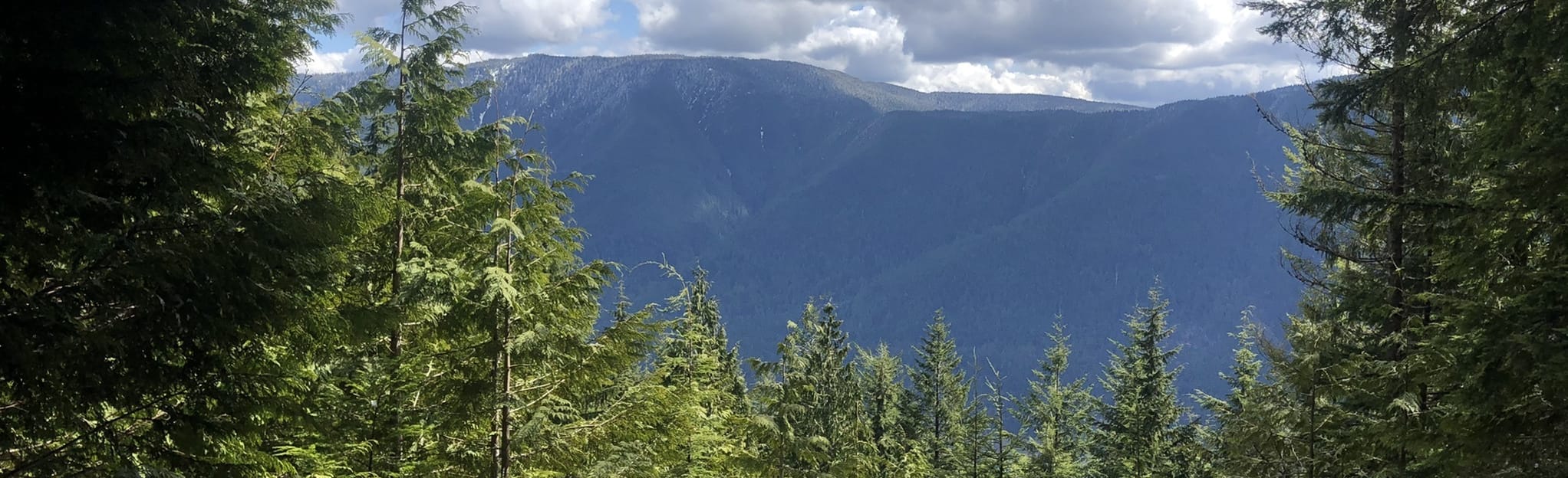 Mike Lake, Hidden Trail, Memorial Trail, Alouette Mountain Trail loop ...