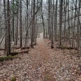 Hoist Lakes Foot Travel Area, Michigan - 121 Reviews, Map | AllTrails