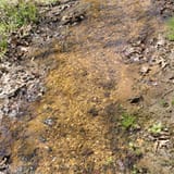 Sequoyah State Park Paved Trail, Oklahoma - 198 Reviews, Map | AllTrails