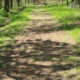 Sequoyah State Park Paved Trail, Oklahoma - 198 Reviews, Map | AllTrails