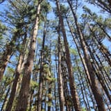 Sequoyah State Park Paved Trail, Oklahoma - 198 Reviews, Map | AllTrails