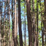 Sequoyah State Park Paved Trail, Oklahoma - 198 Reviews, Map | AllTrails