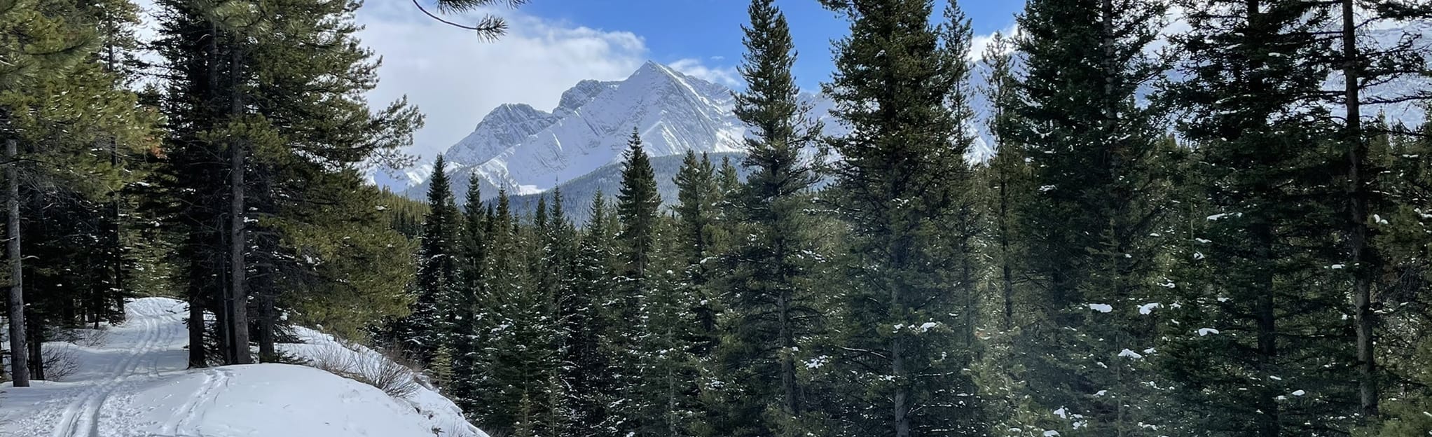 Wheeler - Amos: 51 Reviews, Map - Alberta, Canada | AllTrails