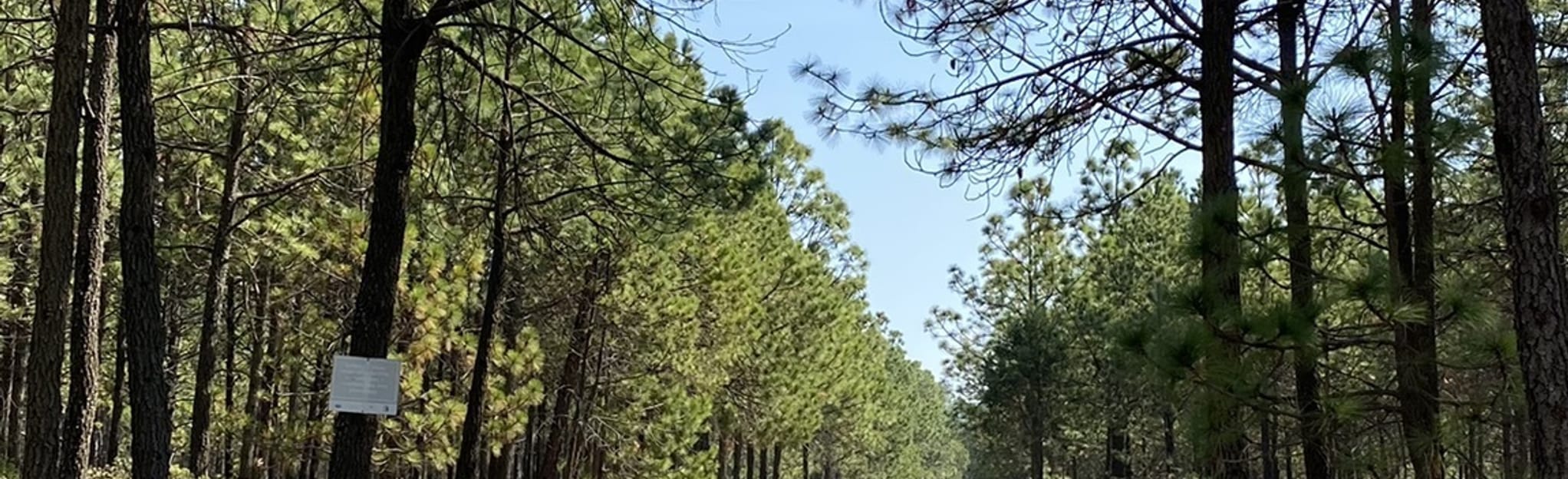 AllTrails | Circuito Las Navajas - Cerro Pelado: 3 Reviews, Map ...