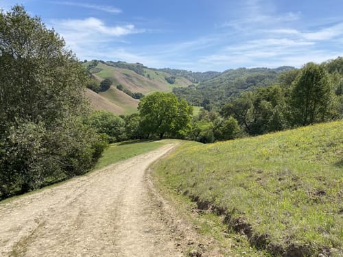Best 10 Hikes and Trails in Briones Regional Park | AllTrails