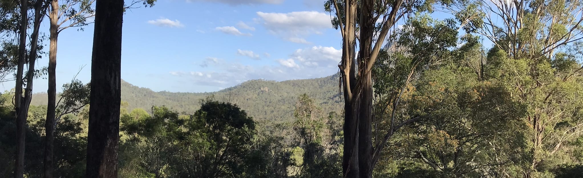 Mount Blaine Loop [CLOSED]: 25 Reviews, Map - Queensland, Australia ...