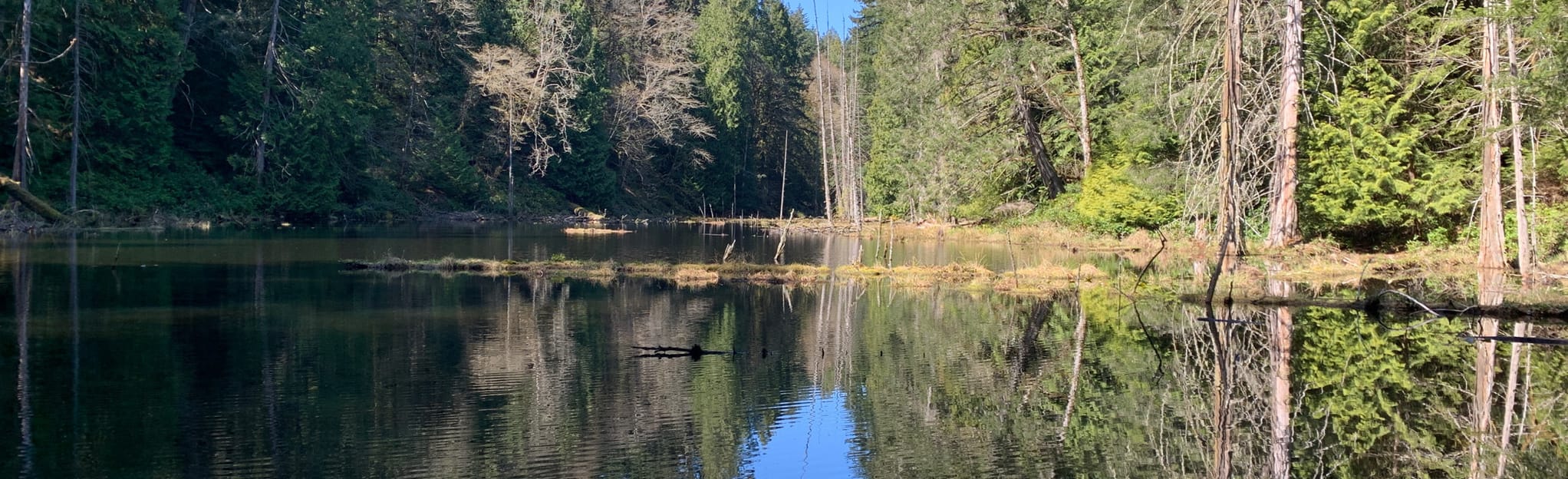 Yellow Point Bog Ecological Reserve and Yellow Point Park Loop: 233 ...
