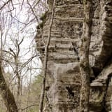 North Sylamore Creek Trail, Arkansas - 231 Reviews, Map | AllTrails