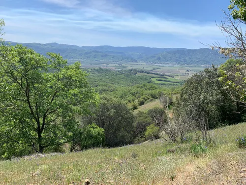 10 Best Trails and Hikes in Ukiah | AllTrails