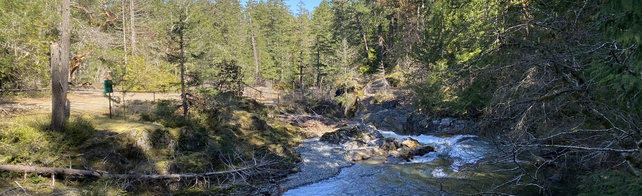 Little Qualicum Falls Provincial Park: 638 Reviews, Map - British ...