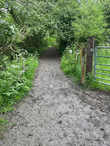 Best Hikes and Trails in Moat Mount Open Space | AllTrails