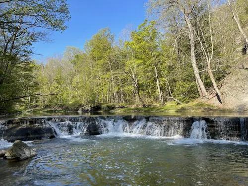 Best Hikes and Trails in Sonyea State Forest | AllTrails