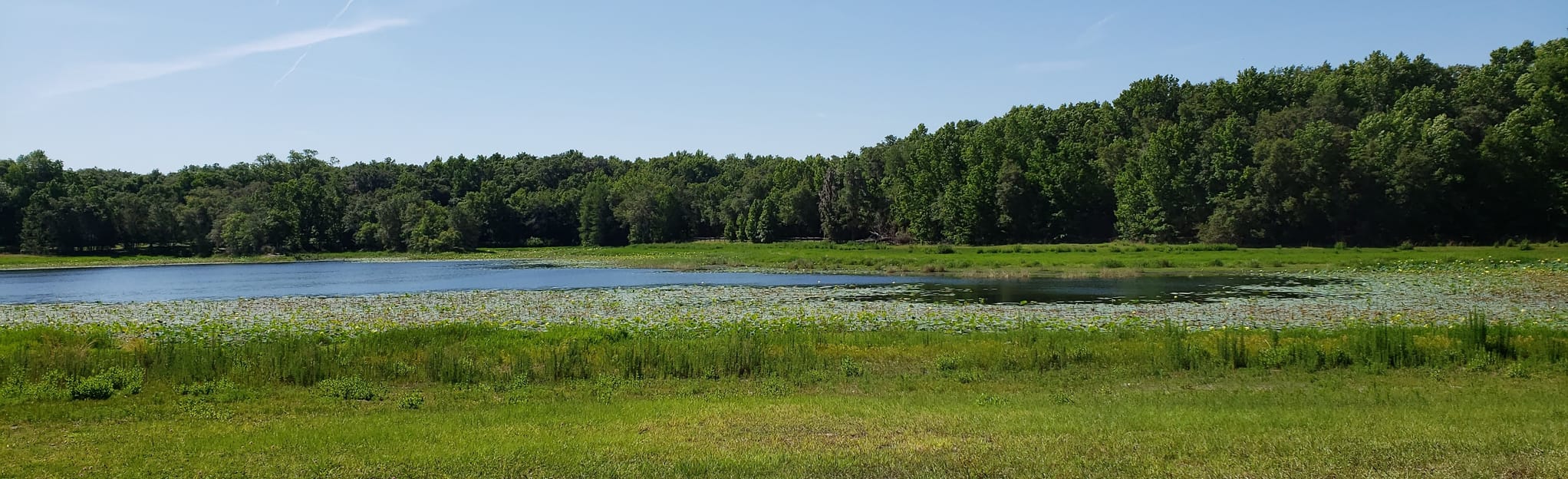 McKethan Lake Loop Road, Florida - 42 Reviews, Map | AllTrails