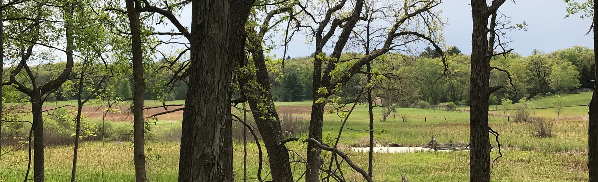 Wolf Oak Woods Preserve Loop: 20 Reviews, Map - Illinois | AllTrails