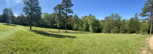 Best Waterfall Trails in Cross Anchor | AllTrails