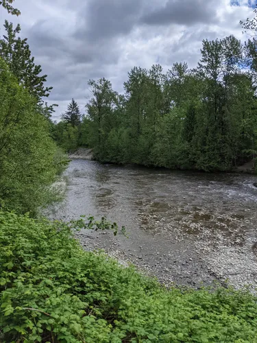 10 Best Trails and Hikes in Port Coquitlam | AllTrails