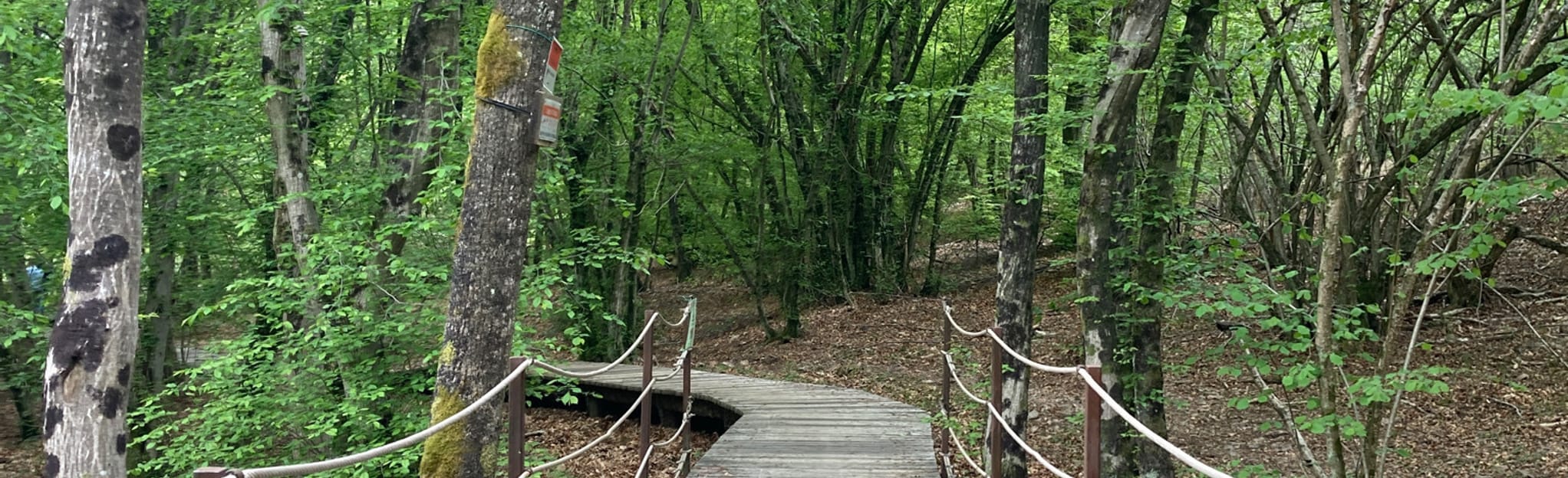 Monte Martica - Cascate delle Grotte di Valganna | Map, Guide ...