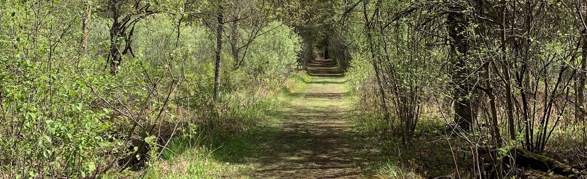 Pine Grove: Trails 45 - 46: 116 Reviews, Map - Ontario, Canada | AllTrails