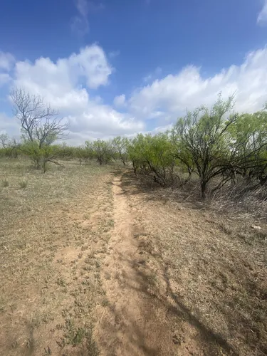 10 Best Trails and Hikes in Amarillo | AllTrails