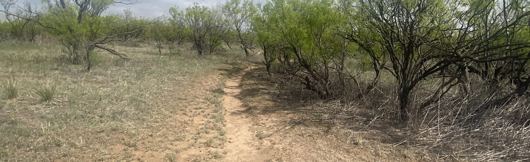 Wild Kitten Loop, Texas - Map, Guide | AllTrails