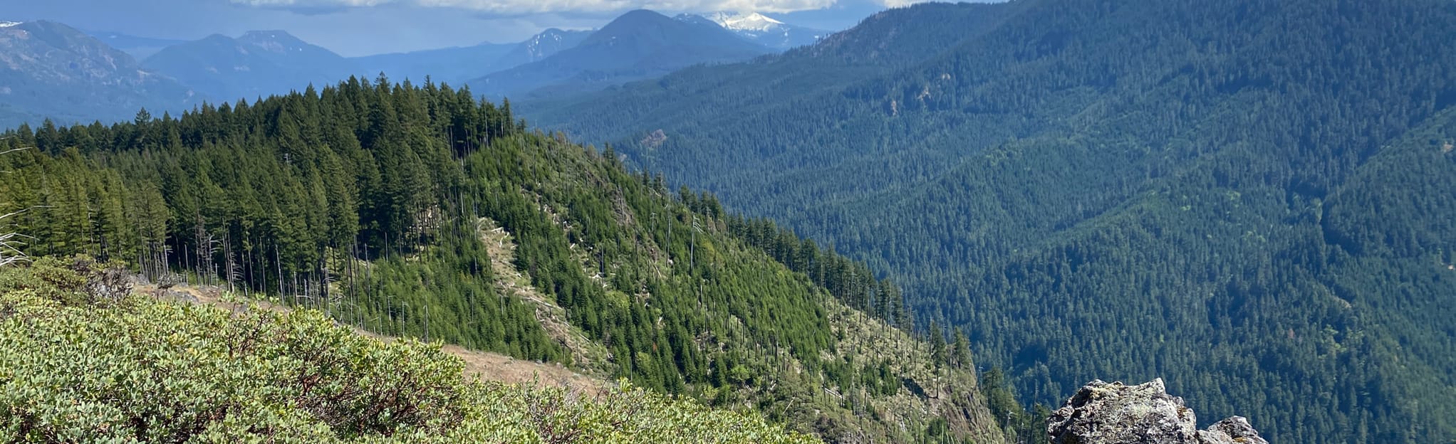 Heckletooth Mountain via Eugene to Crest Trail #3559, Oregon - 35 ...