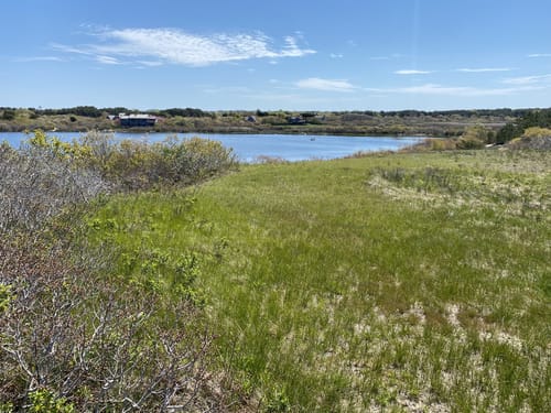 2023 Best 10 Trails and Hikes in Nantucket | AllTrails