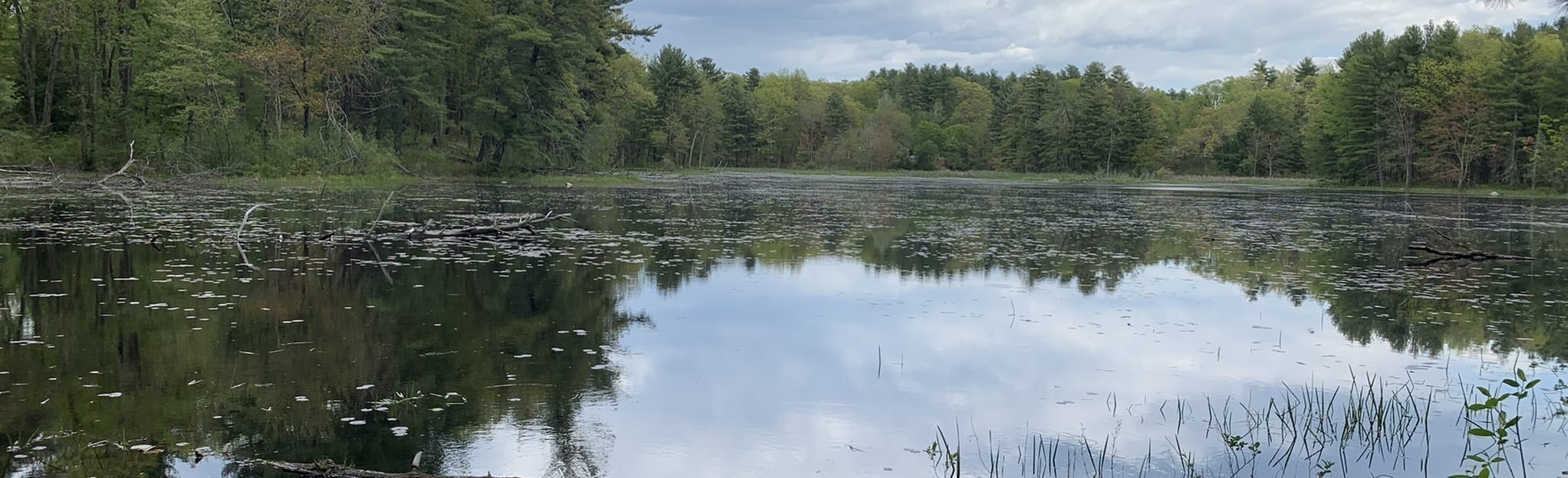 Clifton, Phoebe Rock and Charles Jack Path : 278 Reviews, Map - New ...