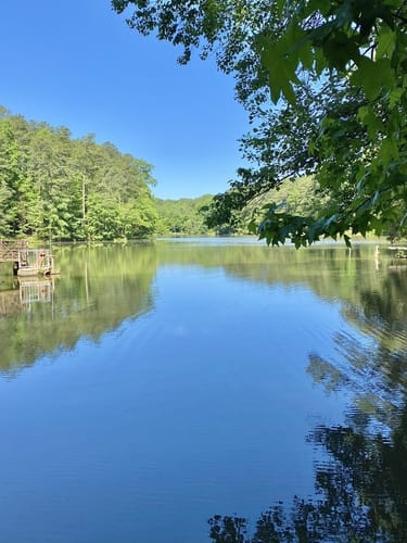 Best 10 Hikes and Trails in William B. Umstead State Park | AllTrails