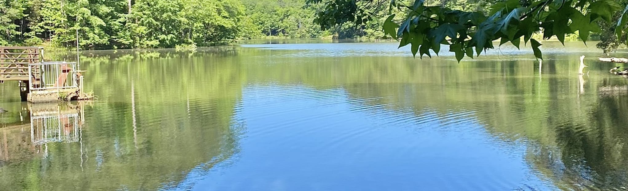 AllTrails | Company Mill and Sycamore Trail Loop: 212 Reviews, Map ...