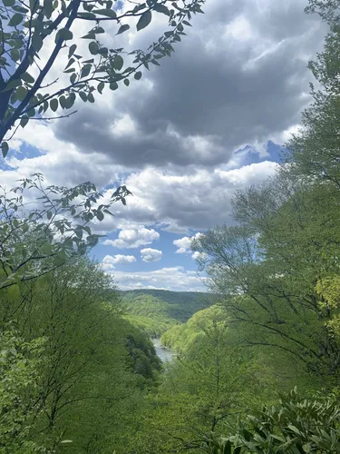 Best Hikes and Trails in Bear Run Nature Reserve | AllTrails