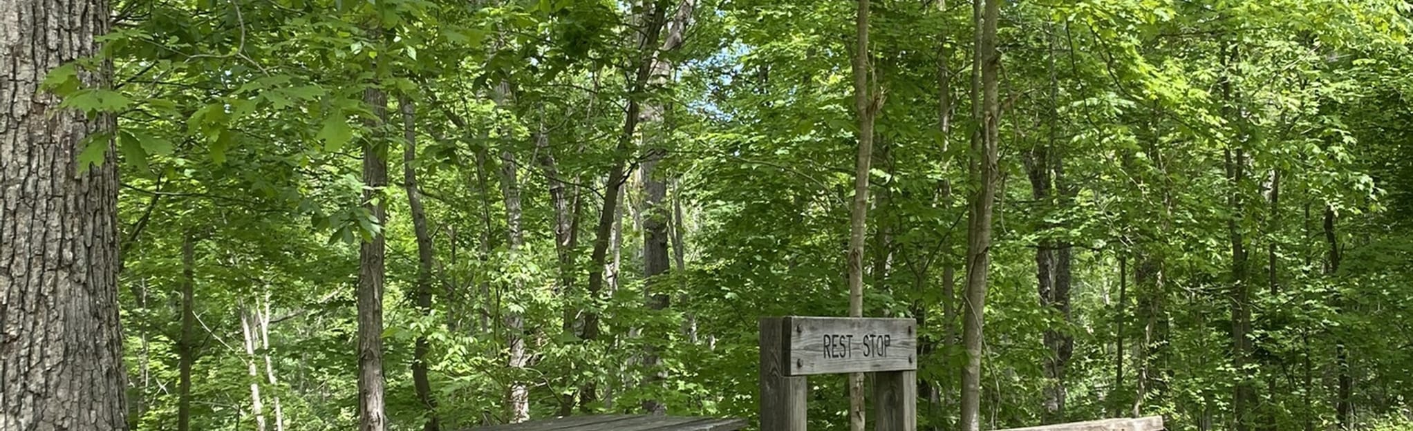 Farm View Trail via Gun Range Trail: 10 Reviews, Map - West Virginia ...