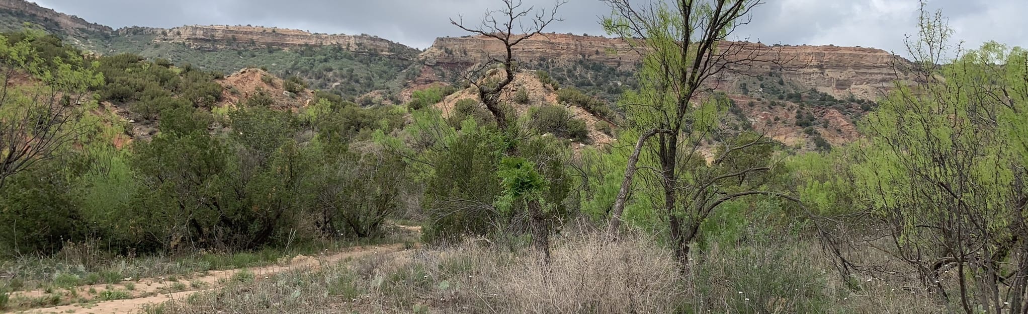 Juniper Cliffside Trail and Juniper Riverside Trail Loop: 523 Fotos ...