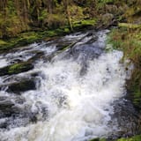 Lunch Falls Trail, Alaska - 87 Reviews, Map | AllTrails