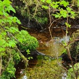 Lunch Falls Trail, Alaska - 87 Reviews, Map | AllTrails