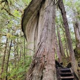 Lunch Falls Trail, Alaska - 87 Reviews, Map | AllTrails