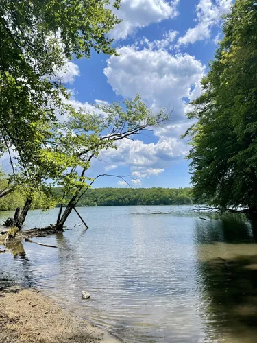 10 Best Hikes and Trails in Loch Raven Reservoir | AllTrails