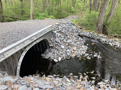 Best Hikes and Trails in Boxford State Forest | AllTrails