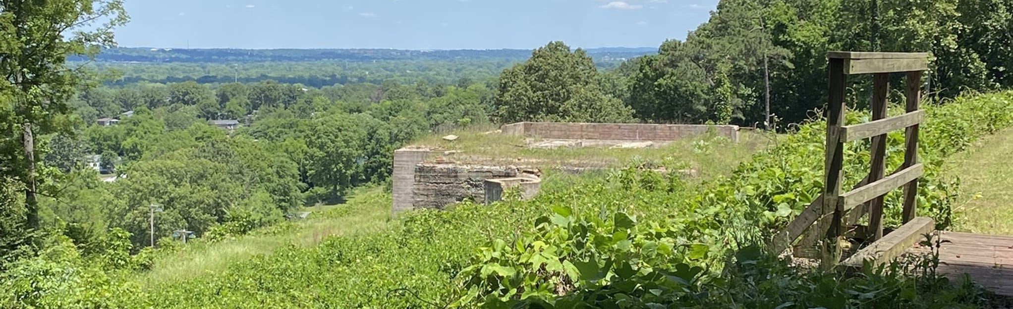 Wenonah Connector to Ebsco Overlook: 90 Reviews, Map - Alabama | AllTrails